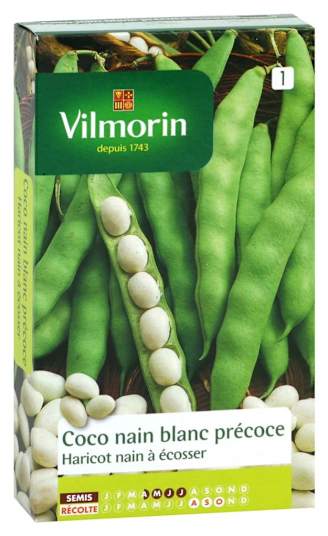 Graines de haricots - Gamm vert