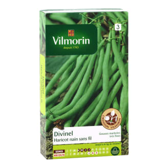 Graines de haricots - Gamm vert