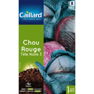 Graines de choux - Gamm vert