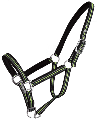 Licol, bride & filet pour cheval - Gamm vert