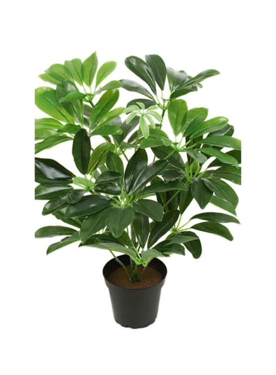 Schefflera factice en pot plante verte H40cm D35cm Originale - Gamm vert