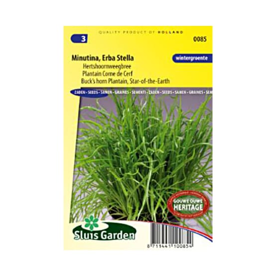 Plantain Corne de Cerf - Minutina le sachet de 3000 graines (1g) - Gamm ...