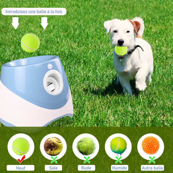 Lanceur de balle automatique pour chien Interactif - Gamm vert