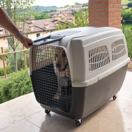 Ferplast Cage de Transport pour Chiens CLIPPER PLUS, IATA, Boite Panier ...