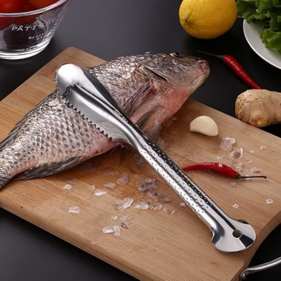 Grattoir À Écailles De Poisson Inox - Gamm vert