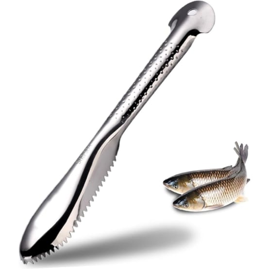 Grattoir À Écailles De Poisson Inox - Gamm vert