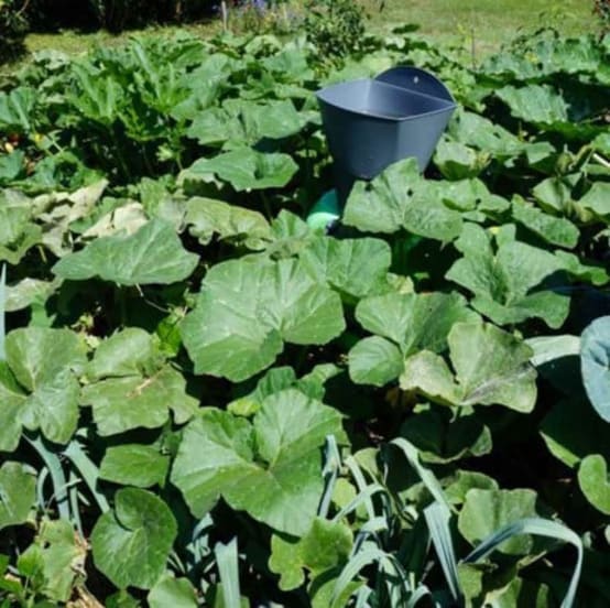 Réserve d'eau 12 L Iriso, Couleur Gris - Gamm vert