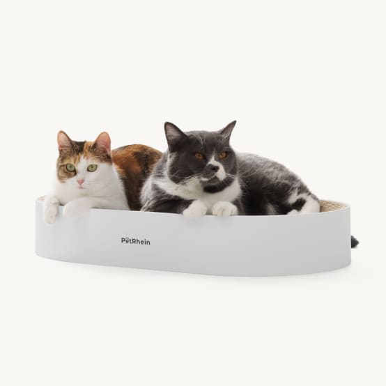 Carton à gratter Zen Paw Series Nature PetRhein - Gamm vert