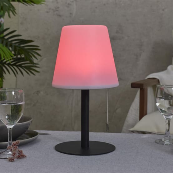 Lampe à Poser Intérieur & Extérieur "LED" 30cm Gris - Gamm vert