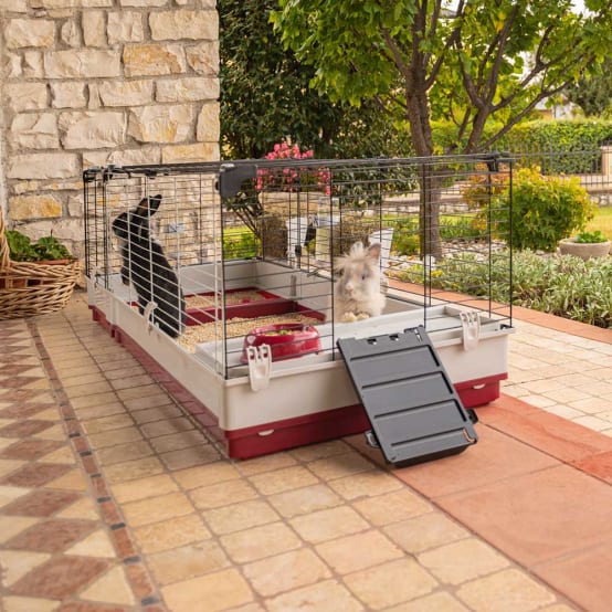 FERPLAST - Cage Cochon d'Inde - Cage Lapin - Maison Lapin - Clapier Lapin - accessoires inclus ...