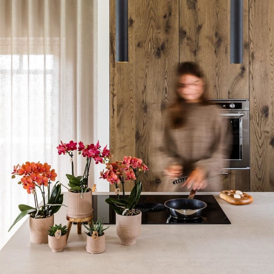 Pot Bali - Sable - Éclectisme Élégant- La Green Touch - Gamm vert