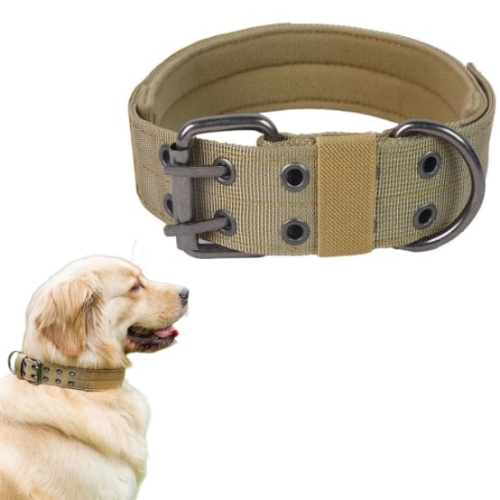 Colliers pour grands chiens m - IntiMeg - Gamm vert