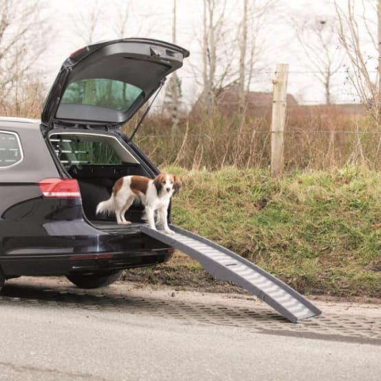 TRIXIE Rampe - 39 x 150 cm - Plastique - Repliable en 3 parties - Gris ...