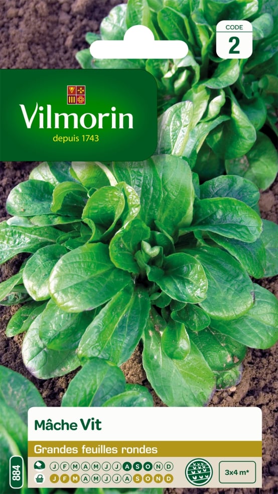 Mâche à petite graine Vit - Vilmorin Graines - Gamm vert