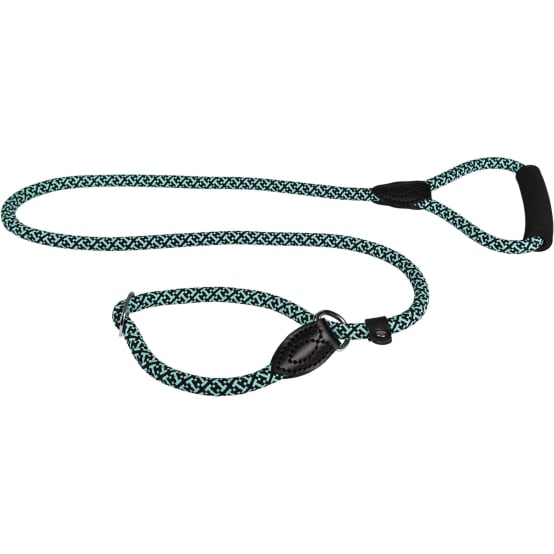 Laisses Lasso Run-Around Fresh Couleur : Turquoise DOOGY CLASSIC - Gamm ...