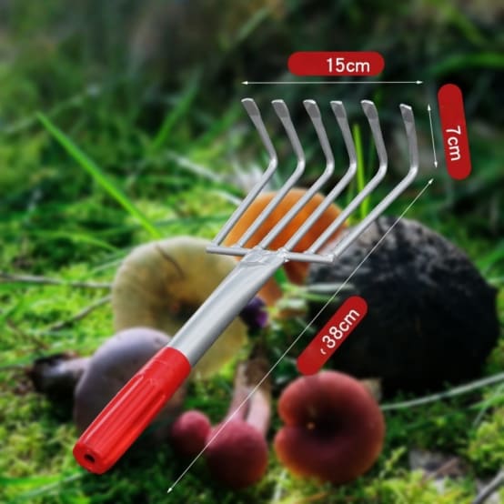 Râteau-Petit râteau-Râteau Plage Acier Inoxydable pour Coquillages ...