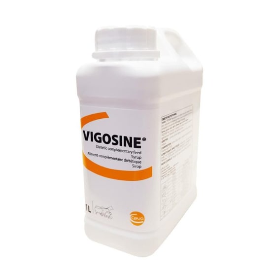 Complément vitalité - Vigosine 5 l - Gamm vert