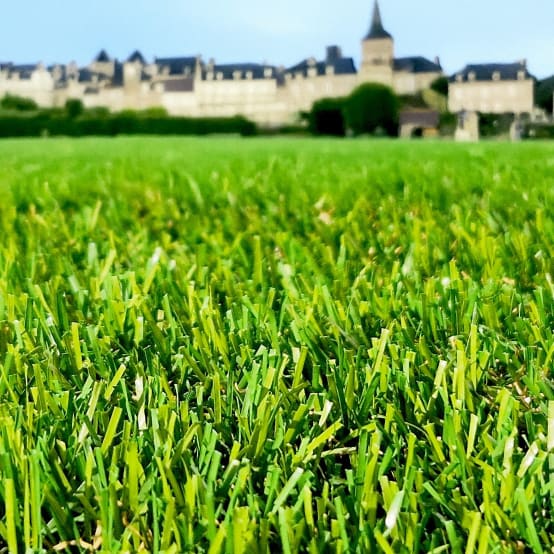 Gazon synthétique Bobby / Aubagne 35mm 2mx5m - Gamm vert