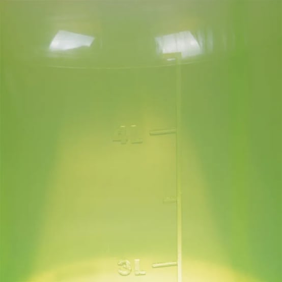 Abreuvoir gradué sur pieds vert 3L, 5L, 8L, 10L - Gamm vert