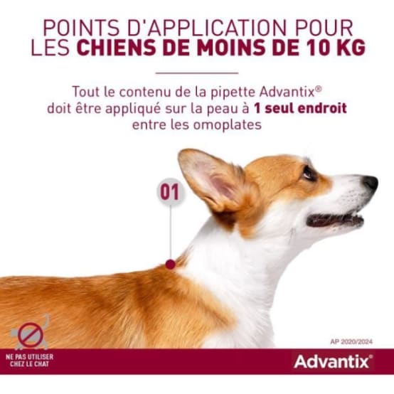 Advantix Chien Solution Antiparasitaire Puces Tiques Répulsif Mouches ...