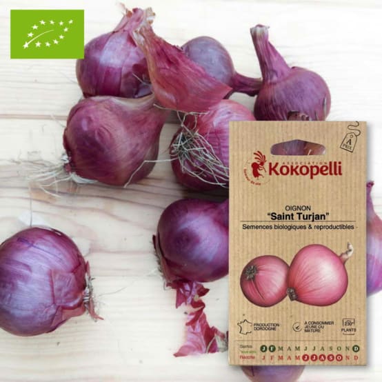 Oignon Saint Turjan- Graines bio à semer - Gamm vert