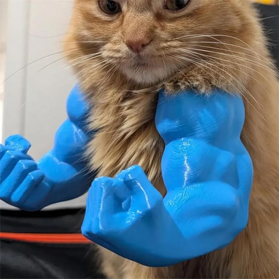 Bras musculaires pour chats Bleu 16×12×12 CM MCBOSON - Gamm vert