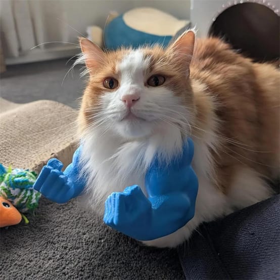 Bras musculaires pour chats Bleu 16×12×12 CM MCBOSON - Gamm vert