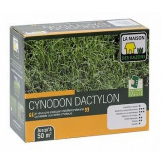 Gazon Cynodon dactylon - Chiendent pour pelouse tropicale Boîte de 500g ...
