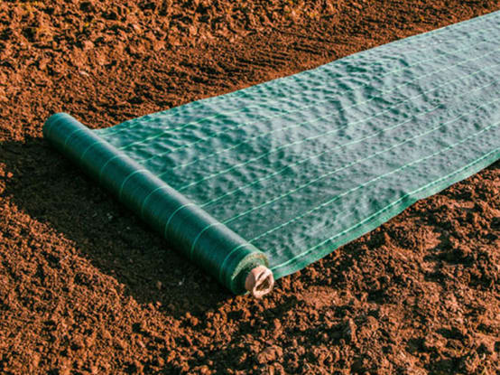 Toile de paillage - Vert - 130gr/m² - Plié Pliés en 4 3.30m x 100m Vert ...