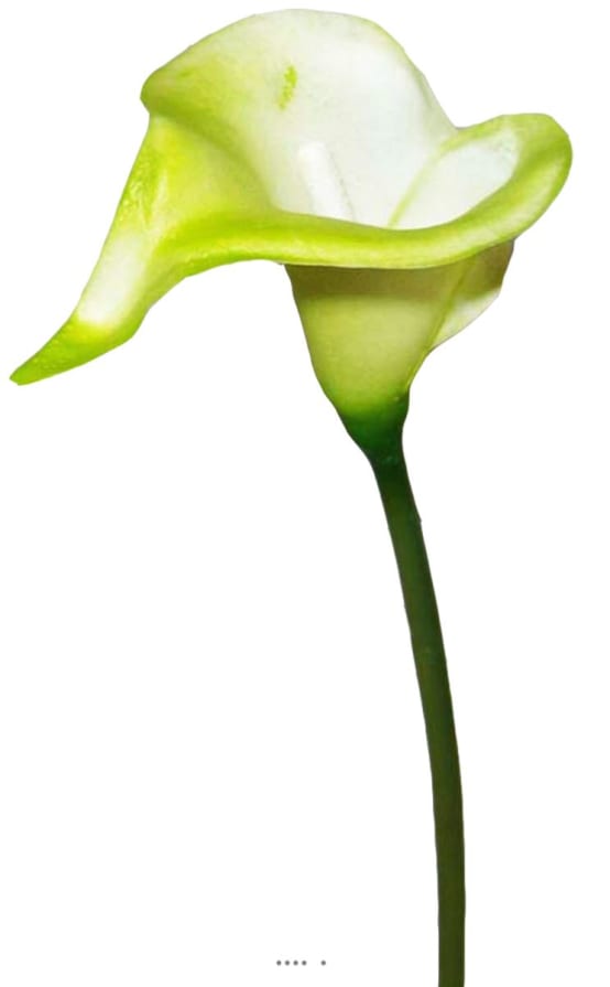 Arum calla fleur artificielle Verte H 42 cm Superbe - couleur: Blanc ...