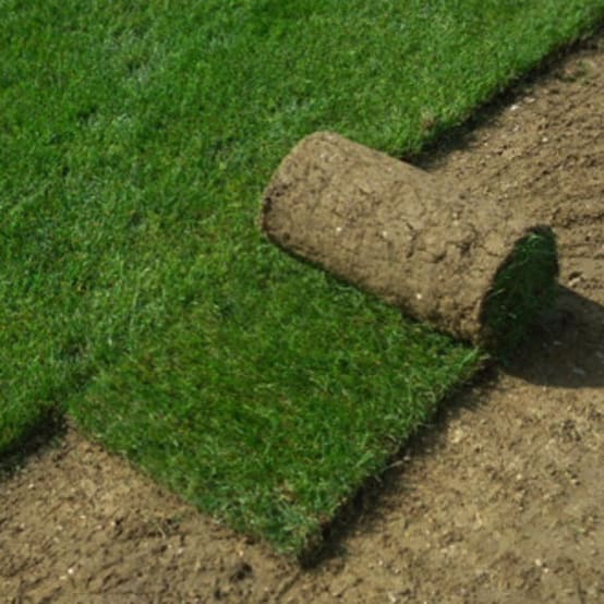 Gazon naturel prêt à poser : 150 m² - Gamm vert