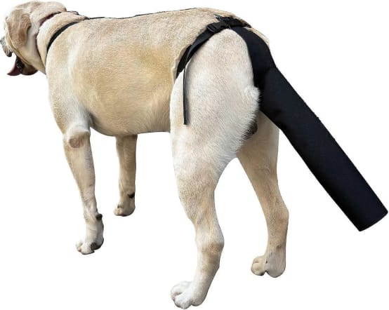 Protecteur de queue de chien MCBOSON - Gamm vert