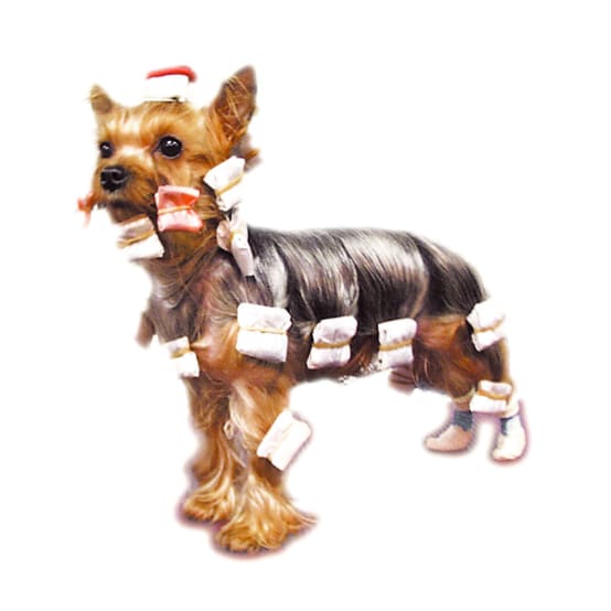 Papillotes pour chien Couleur : Blanc SHOW TECH - Gamm vert