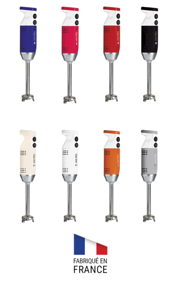 Mixeur Mini Pro Dynamic Multifonctions – Dynamic - - Gamm vert