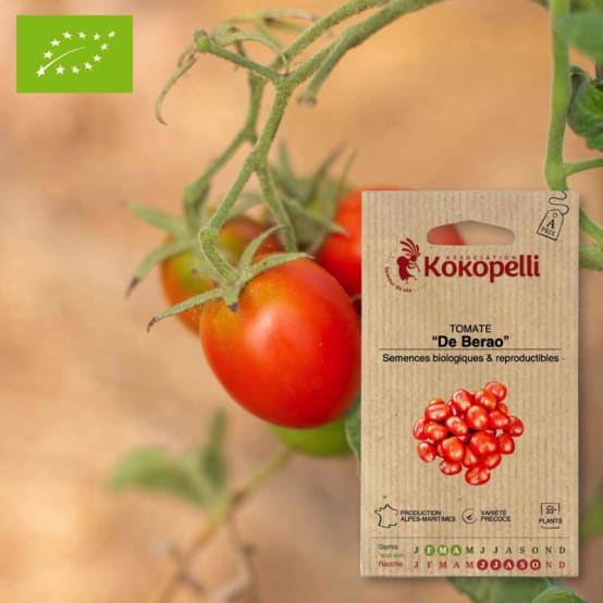 Graines bio à semer - Tomate De Berao- Association Kokopelli - Gamm vert