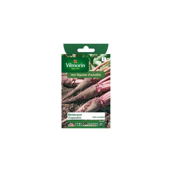 Sachet graines Betterave rouge crapaudine - Gamm vert