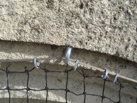 Filet anti-pigeons - Maille de 50mm Pierre 10m x 10m - Gamm vert