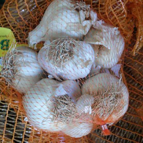 Ail rose Clédor - Allium sativum Pièce calibre 28/40 mm, Sac de 500g ...