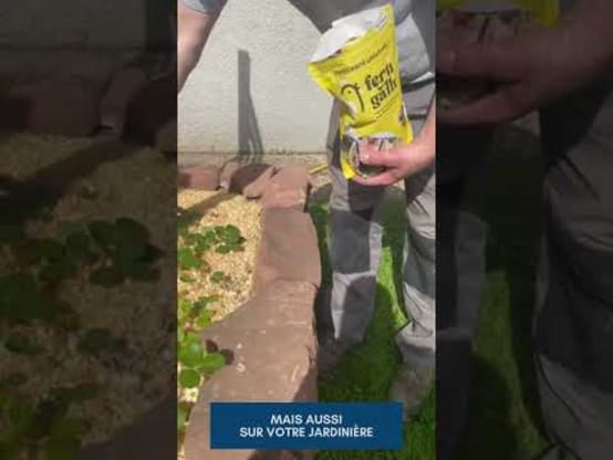 Fertilisant 100 % naturel fientes de poules 1 kg FERTIGALLI - Gamm vert