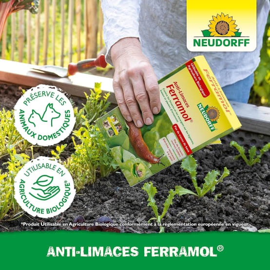 NEUDORFF - Anti-Limaces Ferramol | Protection contre les escargots dans ...