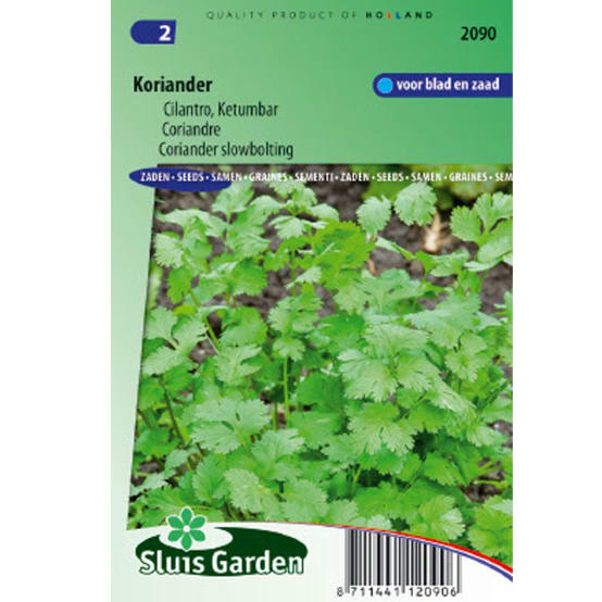 Coriandre cultivée le sachet de 120 graines environ (2g) - Gamm vert