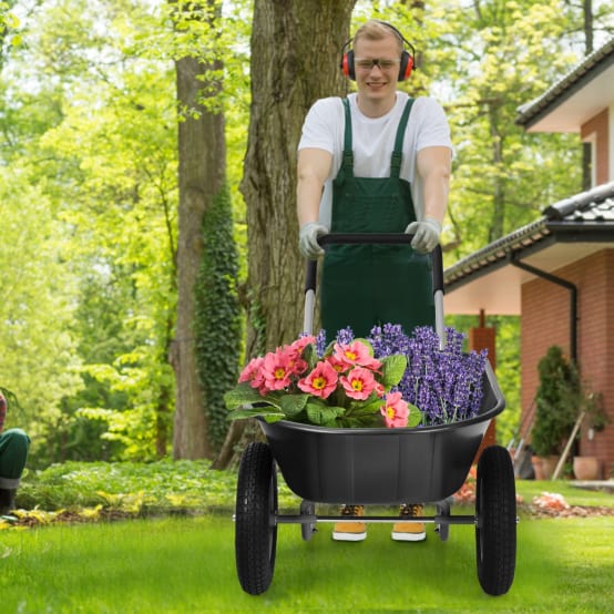 Brouette de Jardin 2 Roues Brouette de Jardin Résistante en Fer avec ...