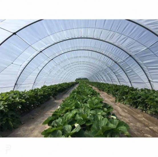 Toile de paillage 90g/m² - Long 15 m, Couleur Vert, Larg 1.65 m - Gamm vert