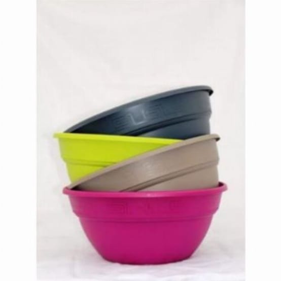 Kit de 3 plantes aquatiques en mini-bassin - Vert - Gamm vert