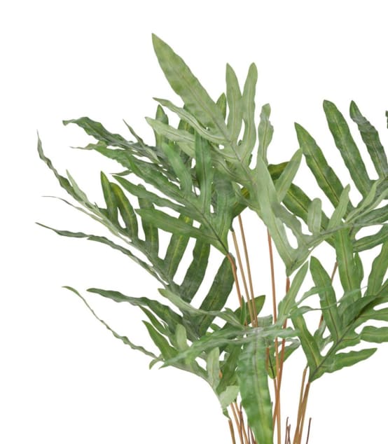 Fougère polypode artificielle H 75 cm, D 63 cm - Gamm vert