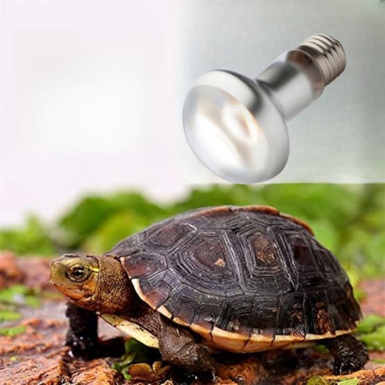 Intense Basking Spot Light Bulb for Reptiles and Amphibians75W - Gamm vert