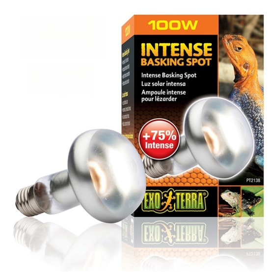 Intense Basking Spot Light Bulb for Reptiles and Amphibians75W - Gamm vert
