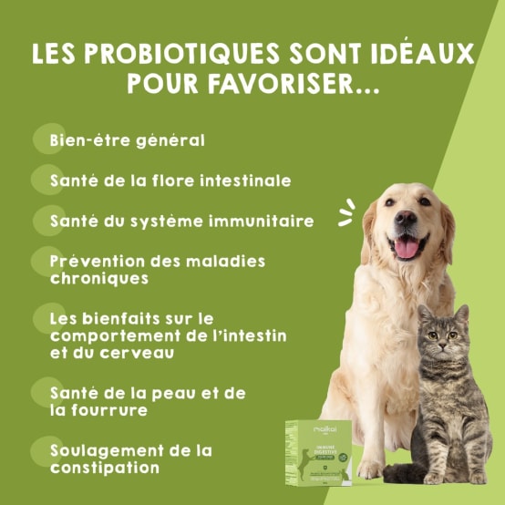 Probiotique Naturel pour Chien et Chat - Aide avec le Diarrhée et ...