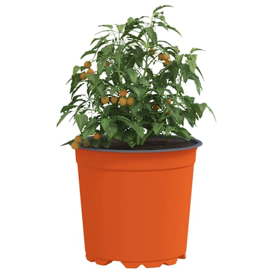 Pot à fleurs 50 pcs Céramique Ø 15 x 13 cm Plastique vidaXL 42029487 ...