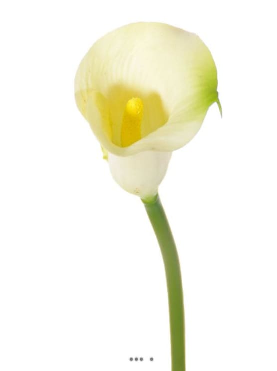 Arum calla Zantedeschia artificiel H 55 cm Crème vert - couleur: Crème ...